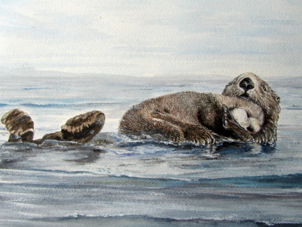 A furry cuddle - SAA