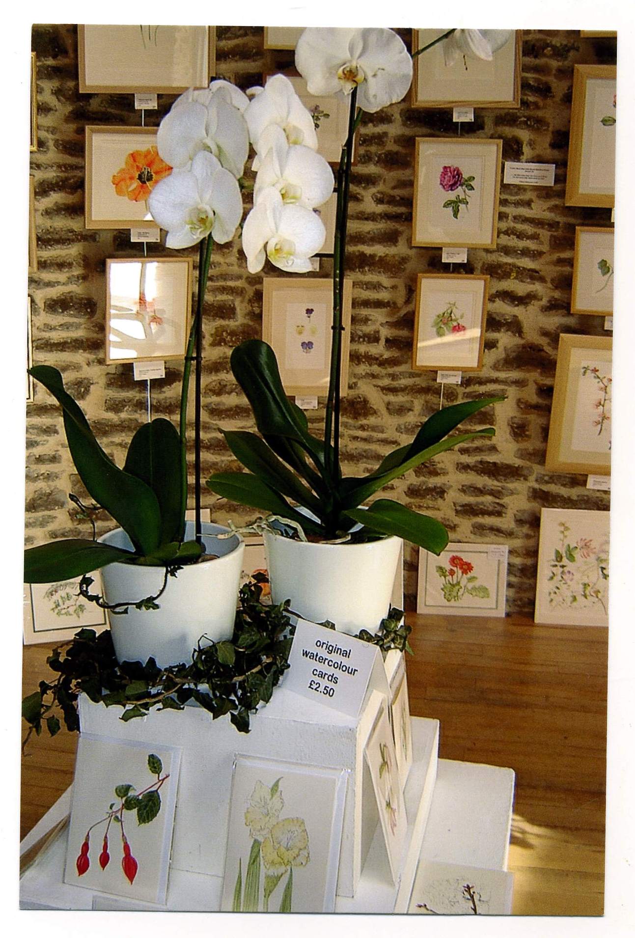 Botanical exhibition - SAA