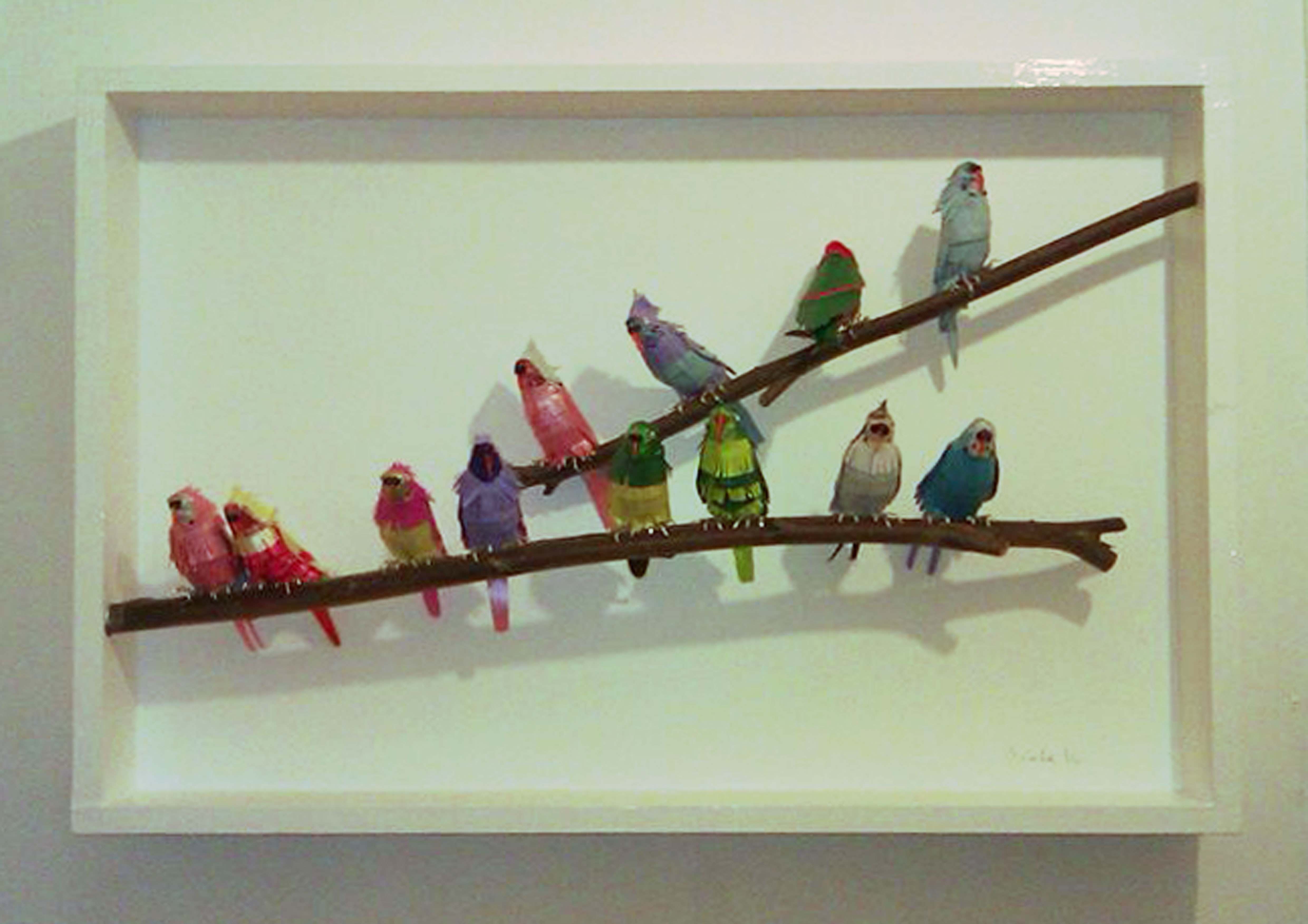 budgies in a frame - SAA