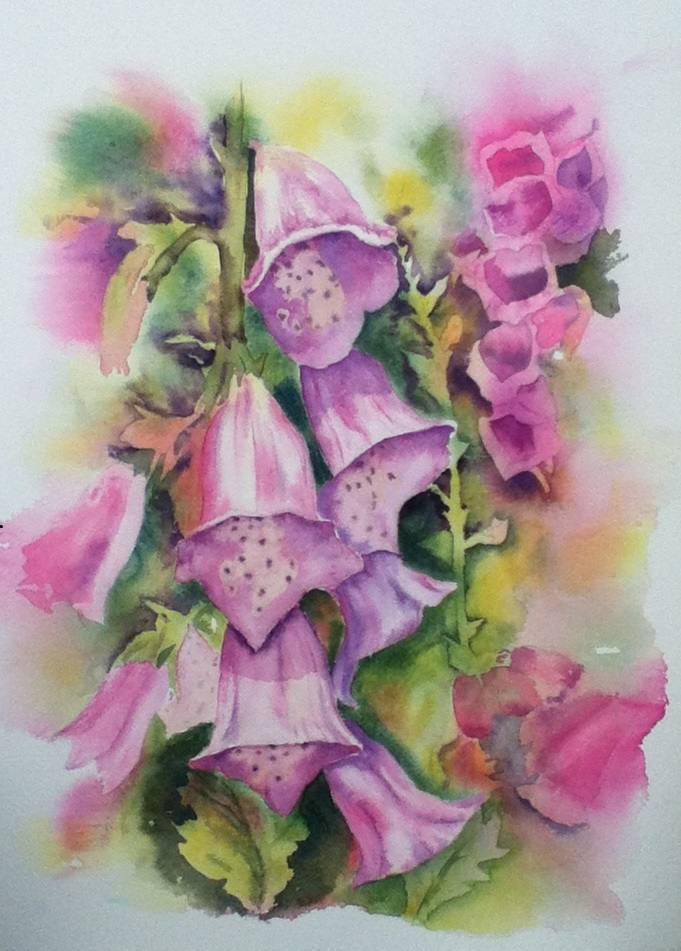 Alison Drake – Charlies Foxgloves watercolour - SAA