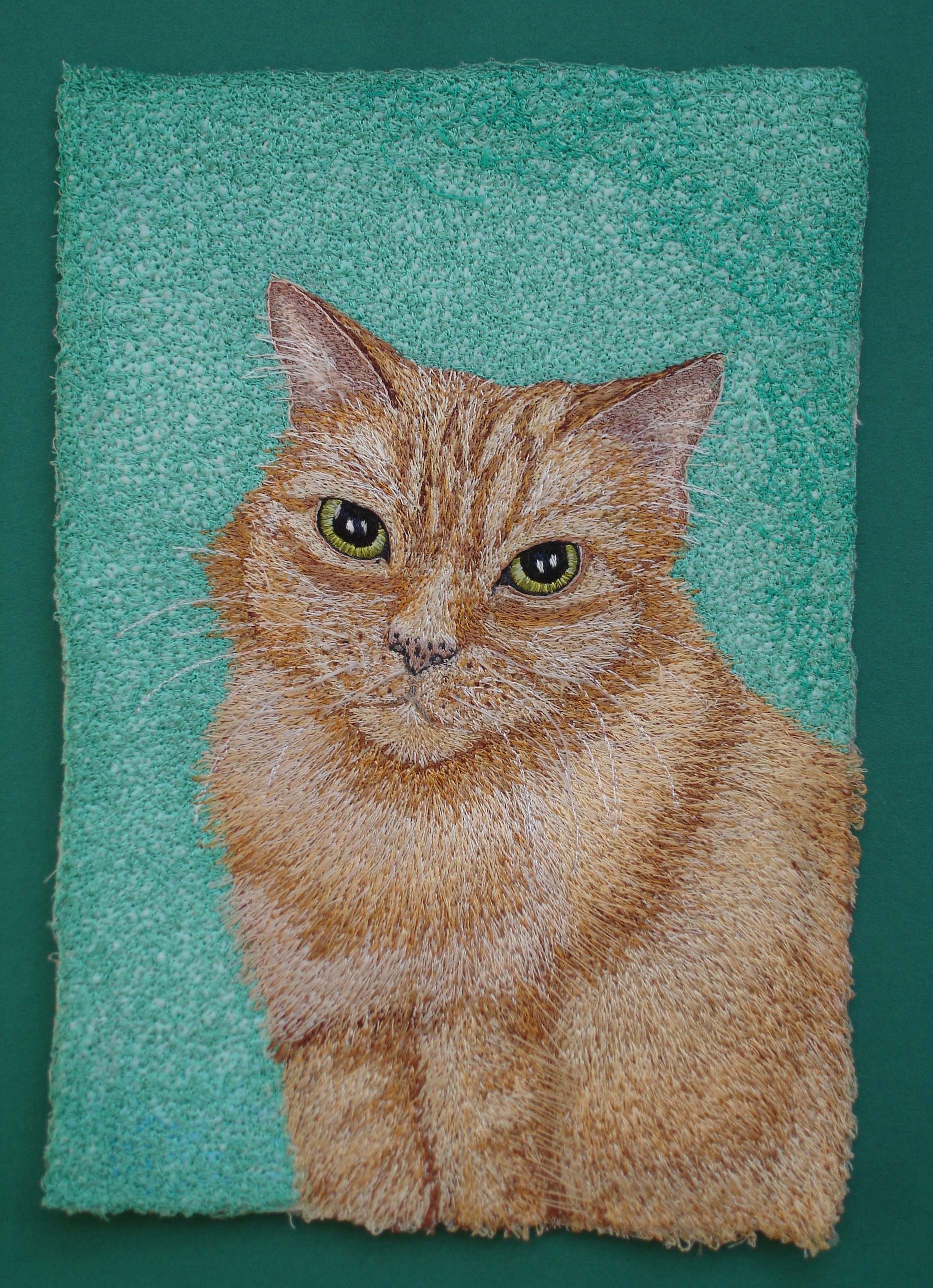 Old Ginger Cat - SAA