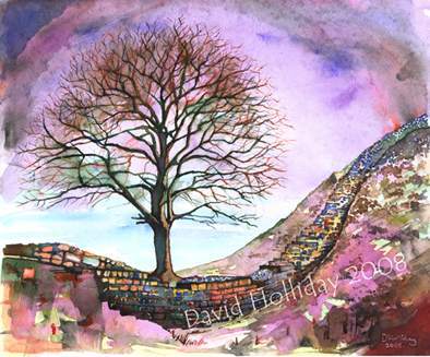 Robin Hood’s Tree ( Hadian’s Wall ) - SAA