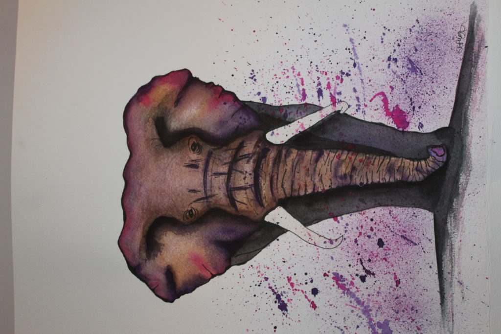 Steve Spruyt – The bull - SAA