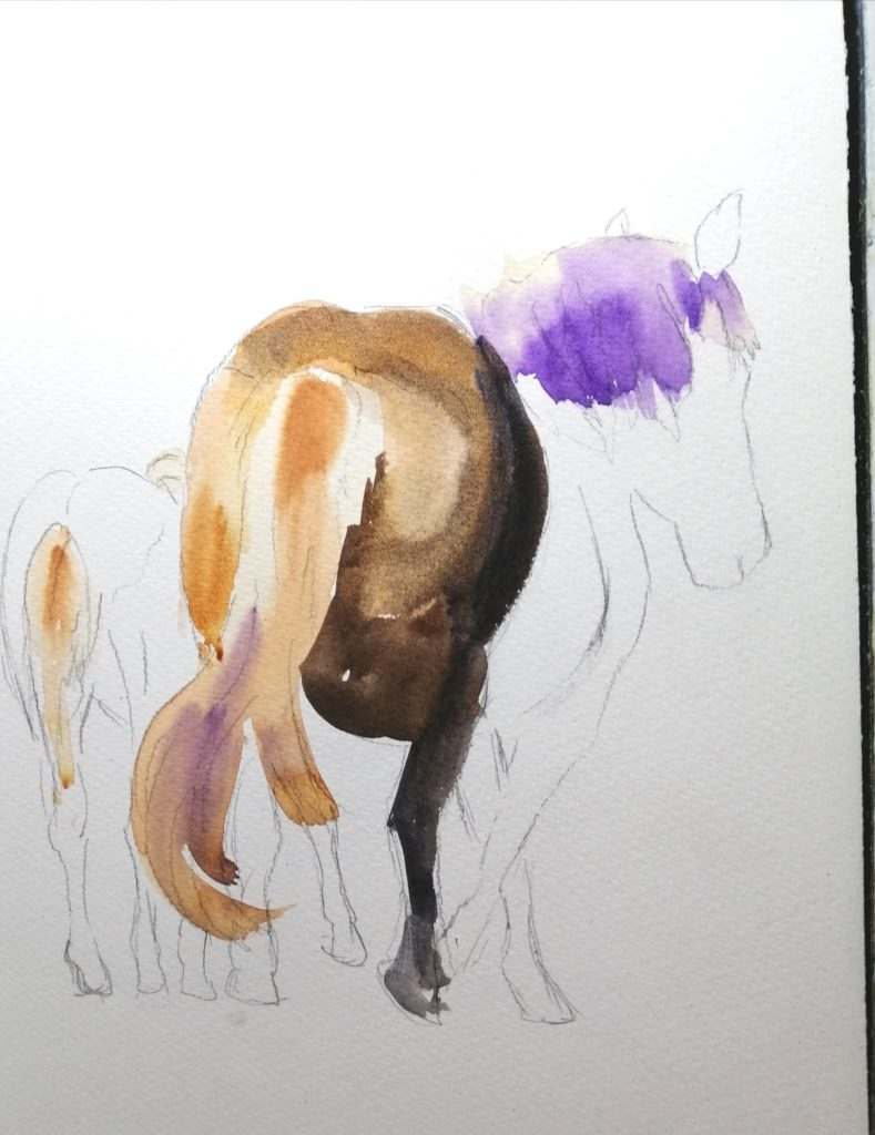 How to Create A Watercolour Horse Painting - SAA