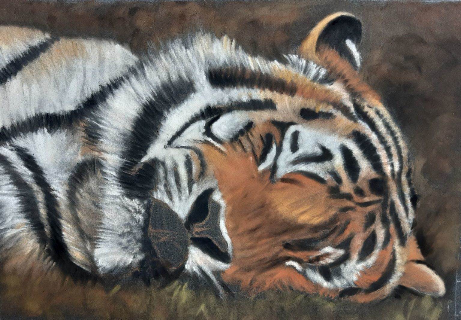 Creating A Pastel Tiger: Pastel Methods & Tips - SAA