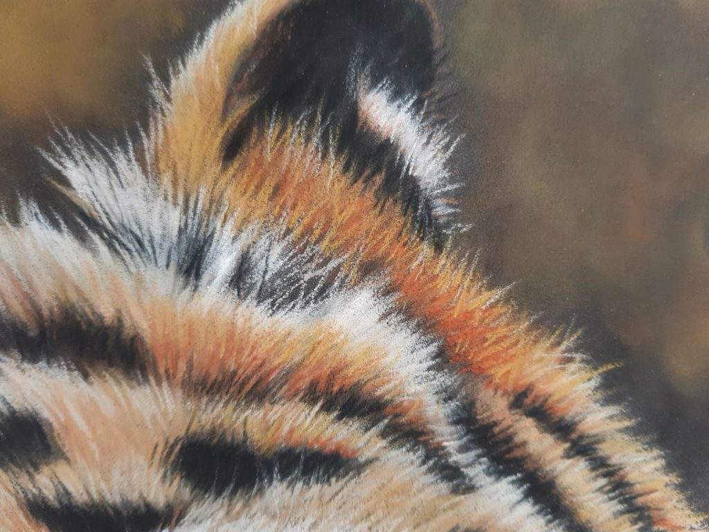 Creating A Pastel Tiger: Pastel Methods & Tips - SAA