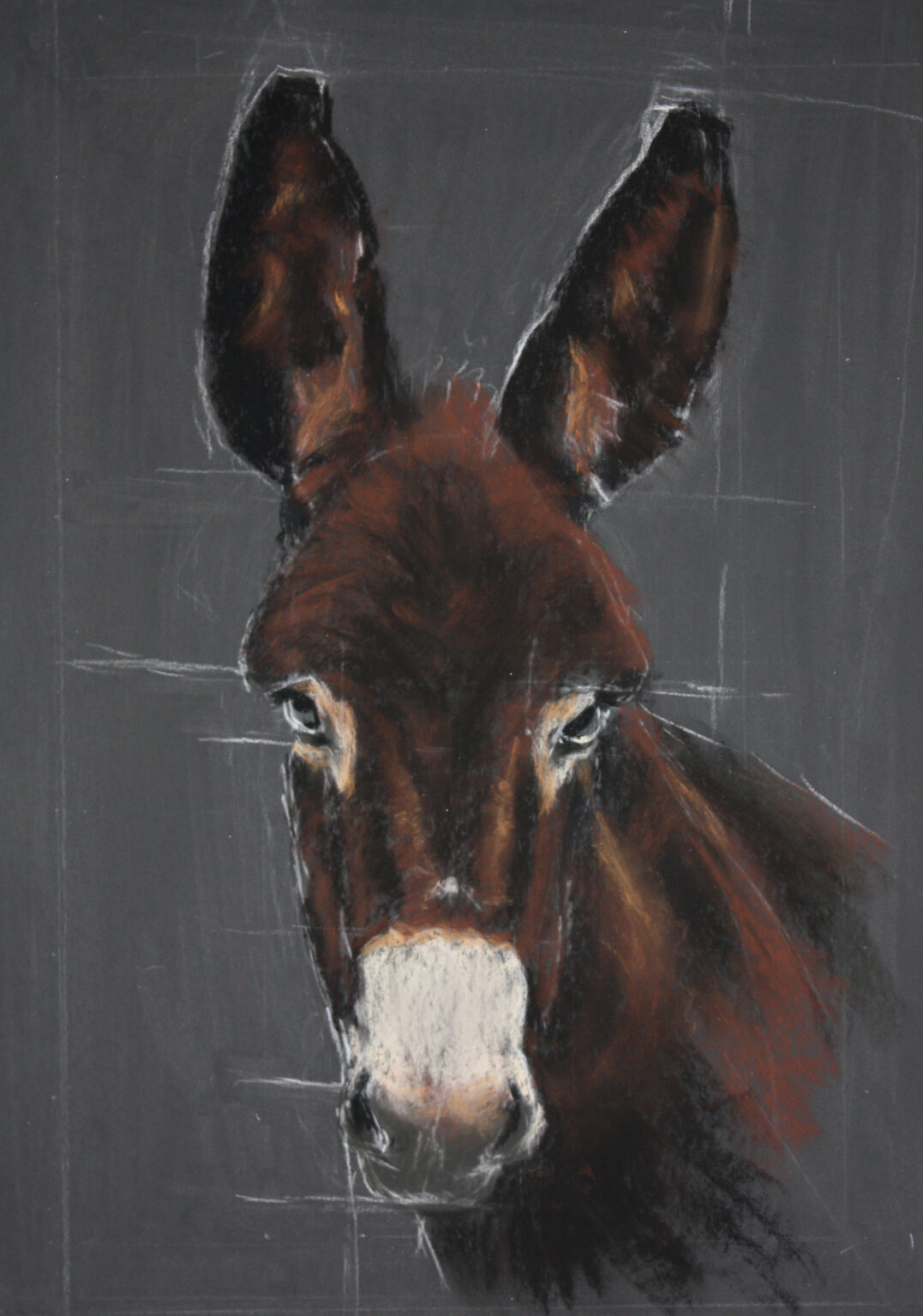 How to Paint a Donkey in Pastels with Catherine Inglis - SAA