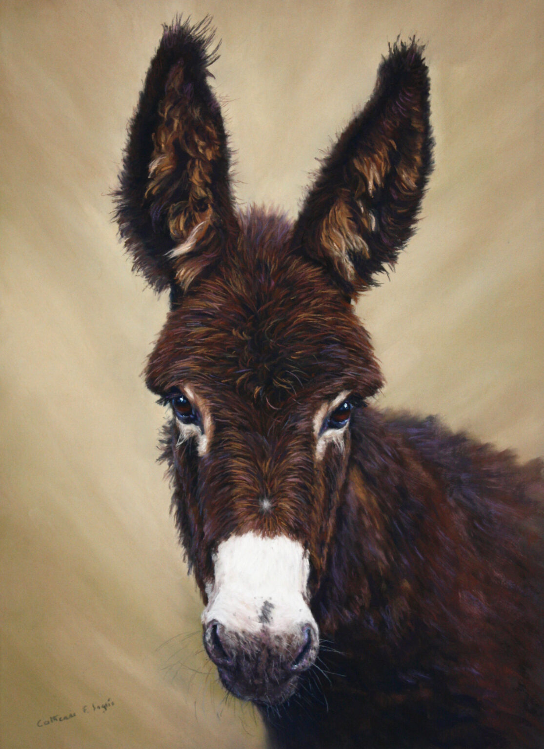 How to Paint a Donkey in Pastels with Catherine Inglis - SAA