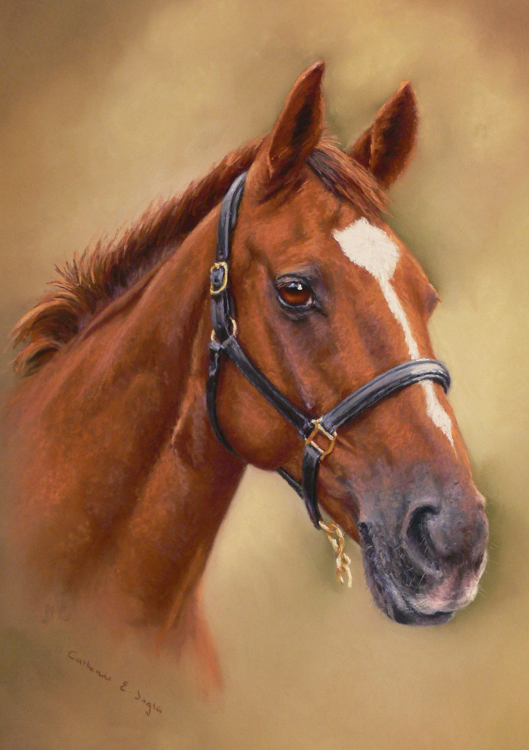 SAA Live – Catherine Inglis Demonstration – Caffrey Horse in Pastel - SAA