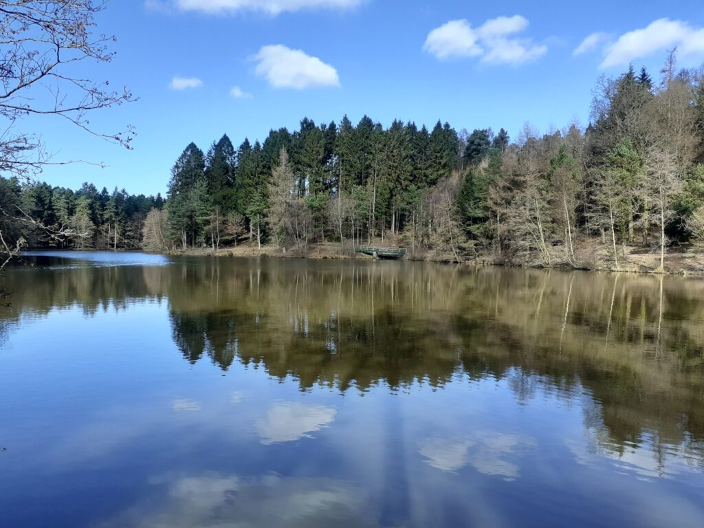 Deborah Gane – Mallard Pike Lake, Forest of Dean - SAA