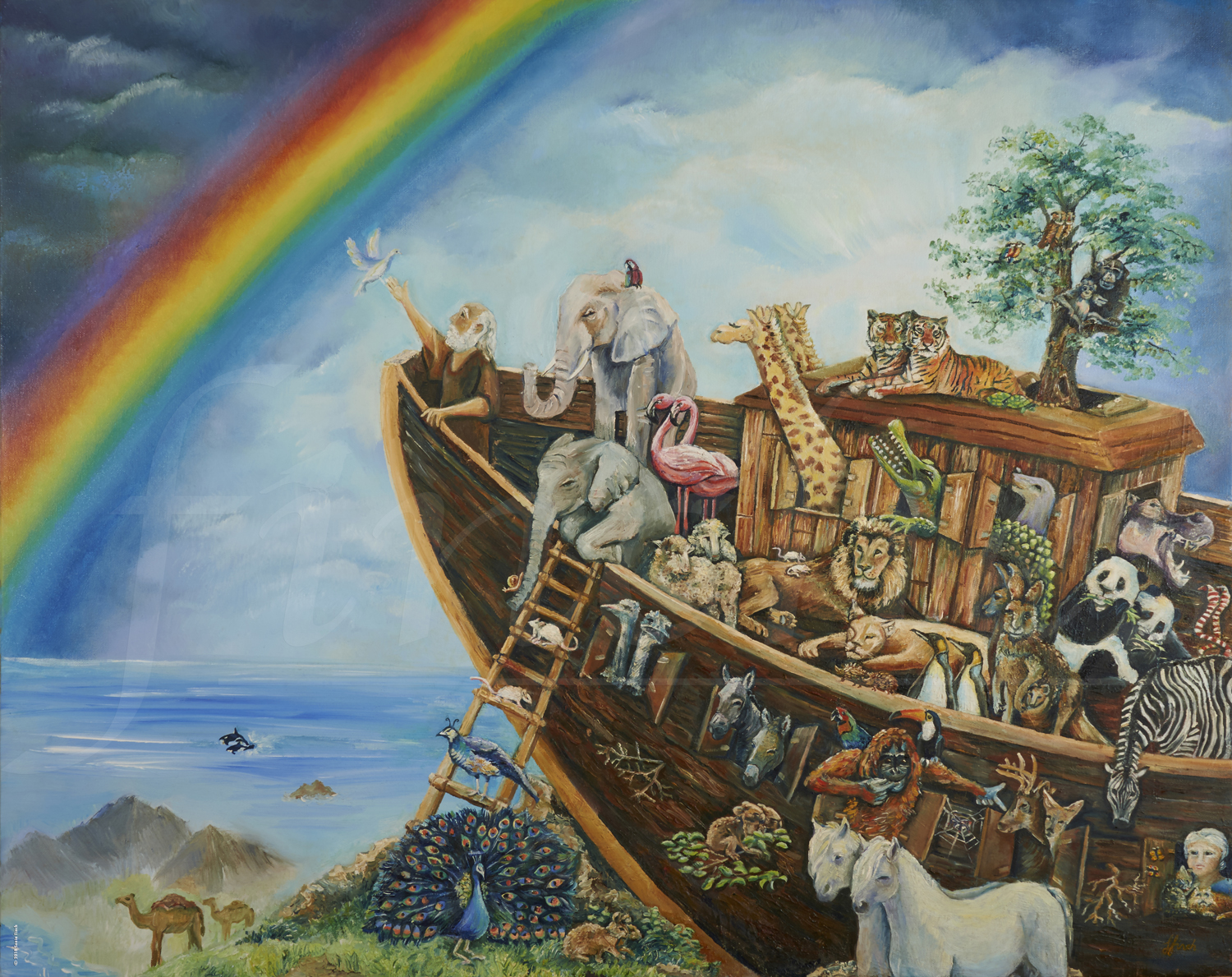 Sonia Finch – The Promise, Noah’s Ark - SAA