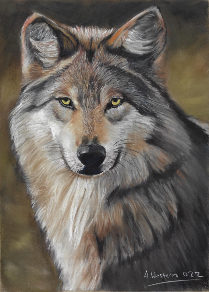 Andrew Western – JOHN LENNON – NYC 1974 - SAA