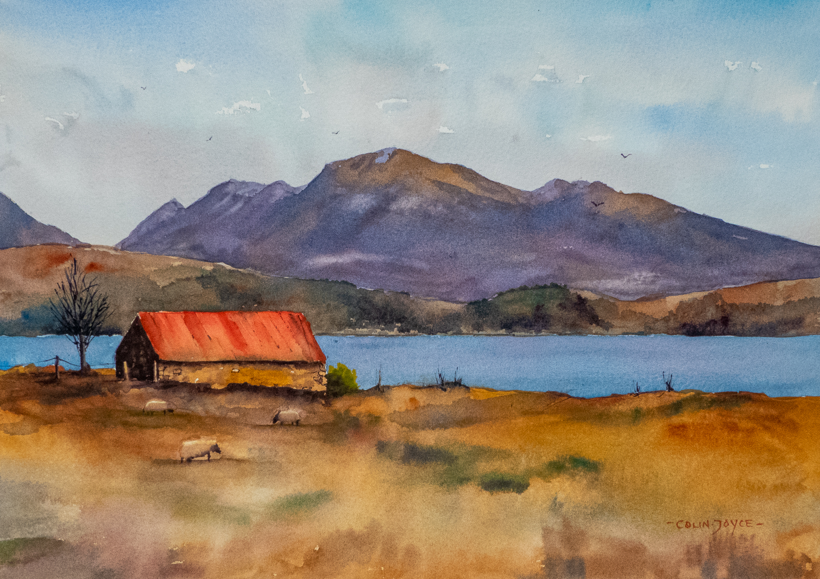 Colin Joyce – Day Workshop with Colin Joyce at Field Breaks Art - SAA