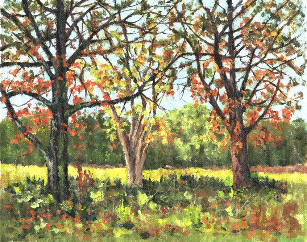 Denis Naylor – Three Trees in Autumn - SAA