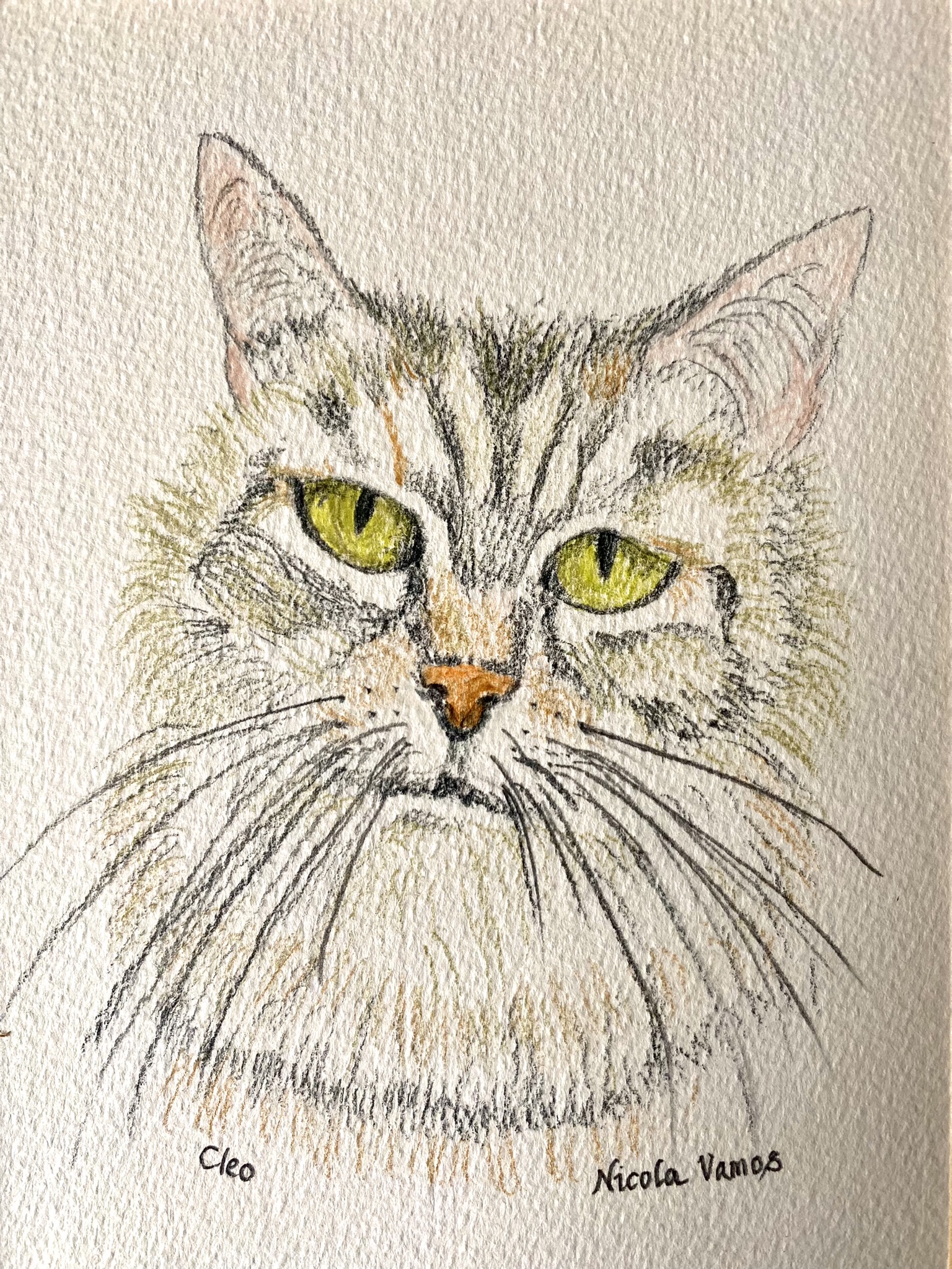 Nicola Jane Vamos – Cleo the Cat - SAA